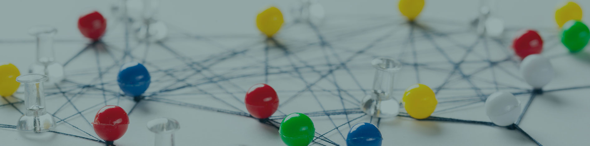 Our Provider Network - Zenova